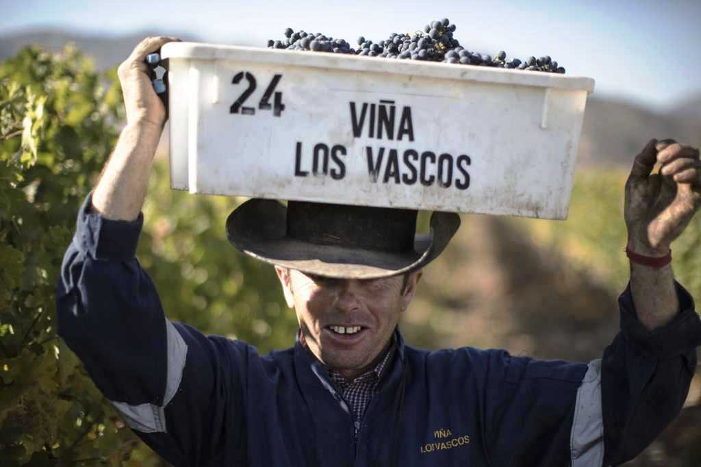 El Descorche diario